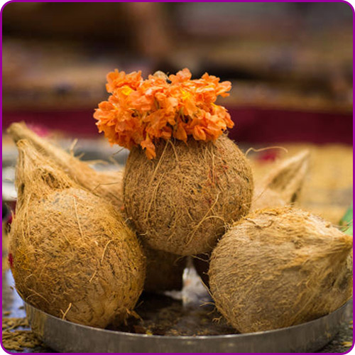Offering Holy Coconut - Rudra Centre